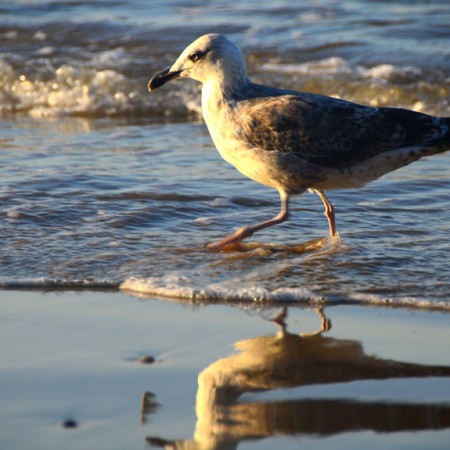 Wir kommen und gehen - Christliche Gebete